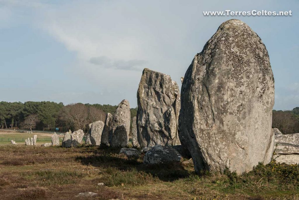 Carnac et les alignements de Carnac - Terres Celtes
