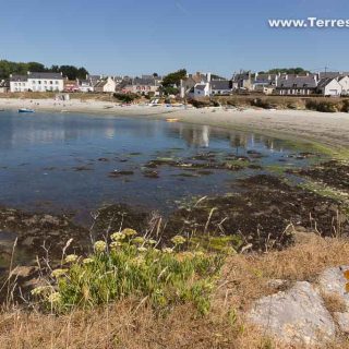 Groix, "l'île aux Grenats" - Terres Celtes
